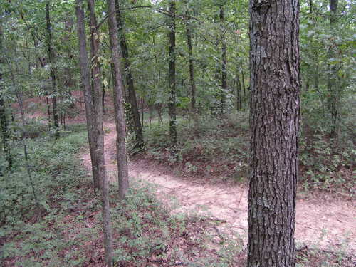 Crowley's Ridge Parkway - Photos | America's Byways
